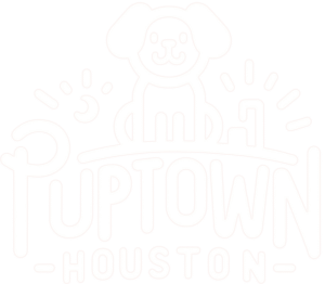Puptown Houston Dog Training